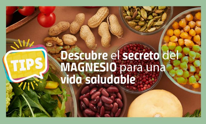 Descubre el secreto del Magnesio para una vida saludable - blog.prisa.cl